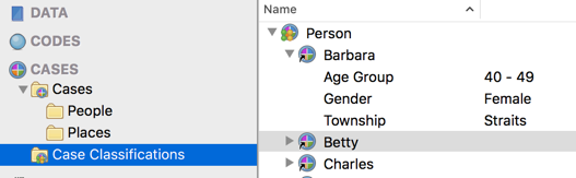 Classify cases (set attribute values to record information)